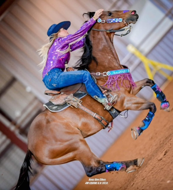 Luxury Rhinestone Barrel Racing Tack | Betty Ice Brand – Betty Ice ...